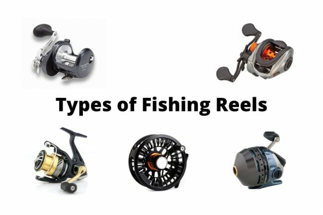 Topsail - Topsail Angler
